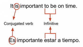 6. Los verbos irregulares en el modo indicativo en el tiempo presente ...